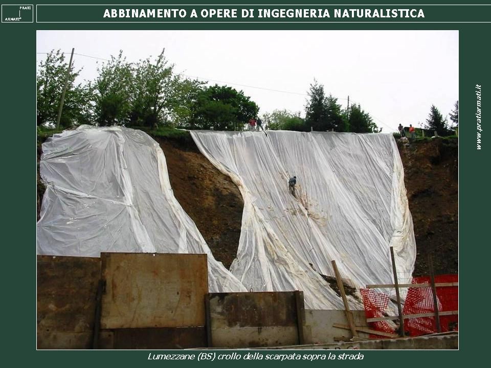 palizzate, palificate e viminate sono sinergiche con i Prati Armati