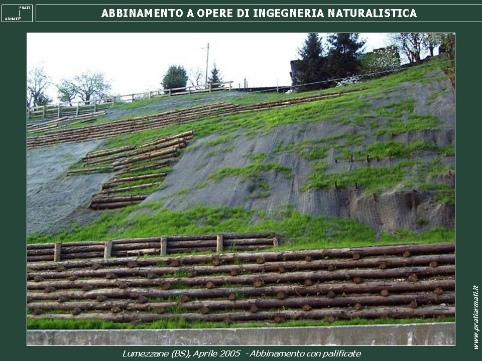 palizzate, palificate e viminate sono sinergiche con i Prati Armati