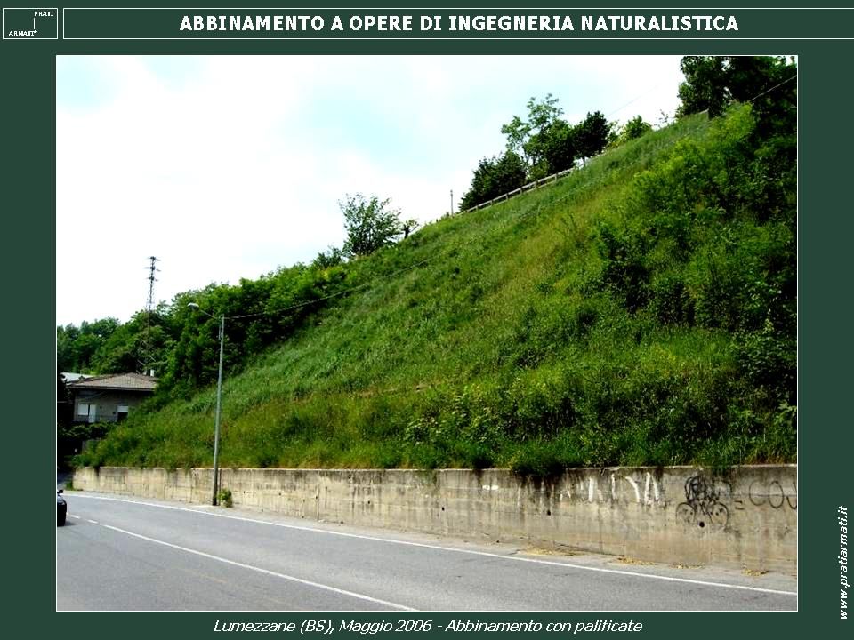 palizzate, palificate e viminate sono sinergiche con i Prati Armati